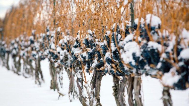 Ice Wine: Canada's Sweetest And Tastiest Wine - GastroVino Academy